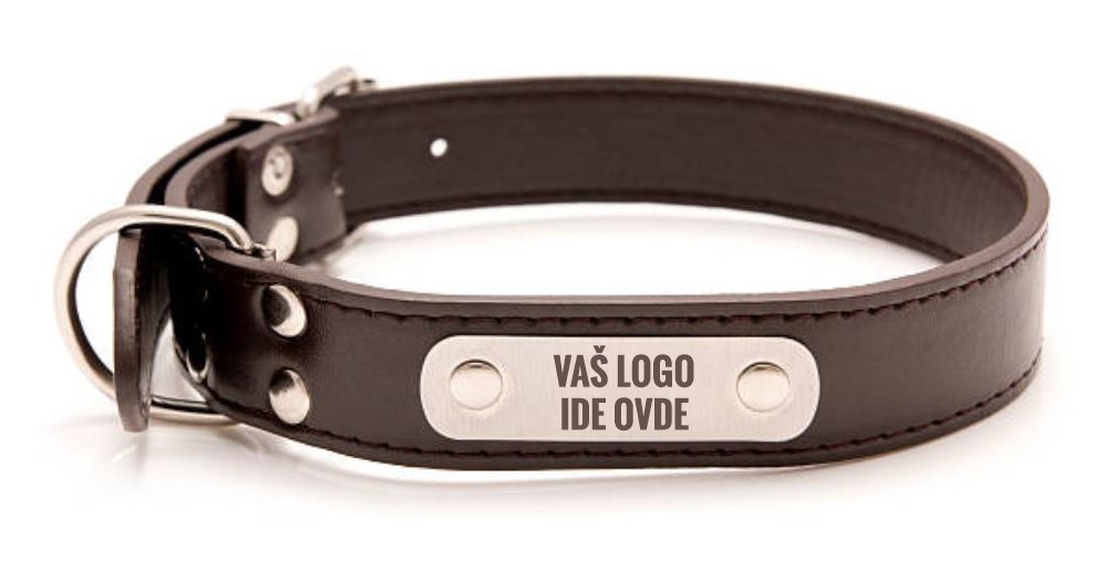 Logo ekstenzije - Ziska