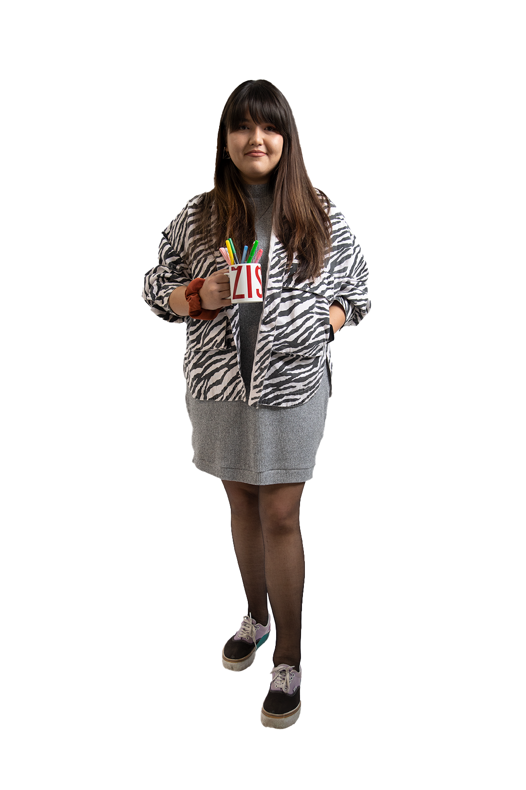 Ili radi ili ne radi • Ziska